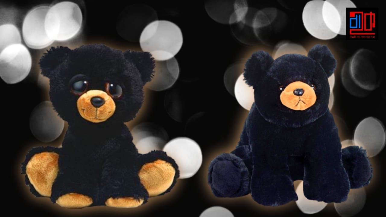 Teddy Day 2023 Date, History & Significance: টেডি ডে কবে? ইতিহাস ও ...