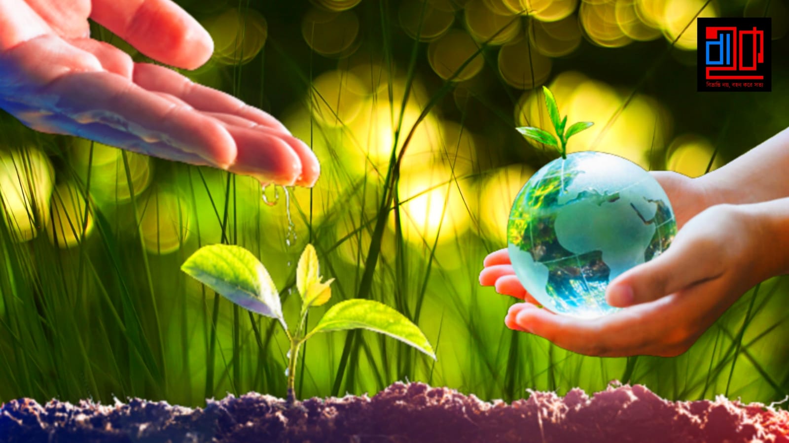 World Environment Day 2023 Theme, Why World Environment Day is ...