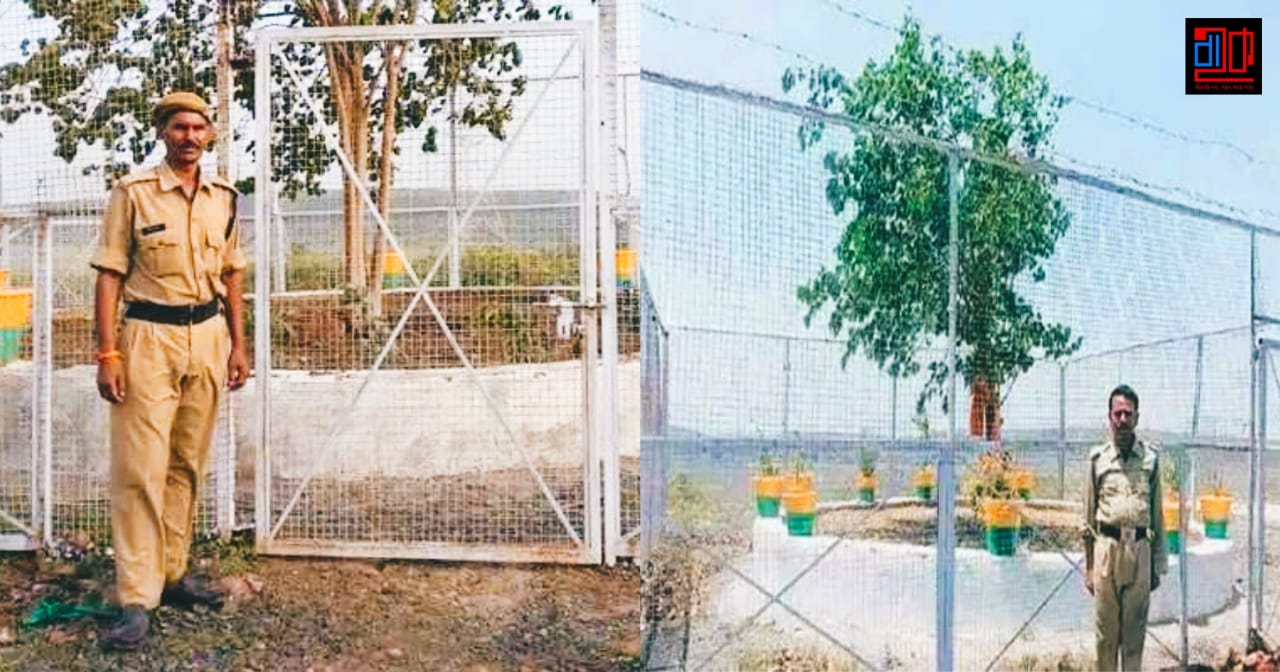 VVIP Tree: জানেন কি মধ্যপ্রদেশের এই গাছটিকে দেওয়া হয় জেড+ সুরক্ষা! এর ...