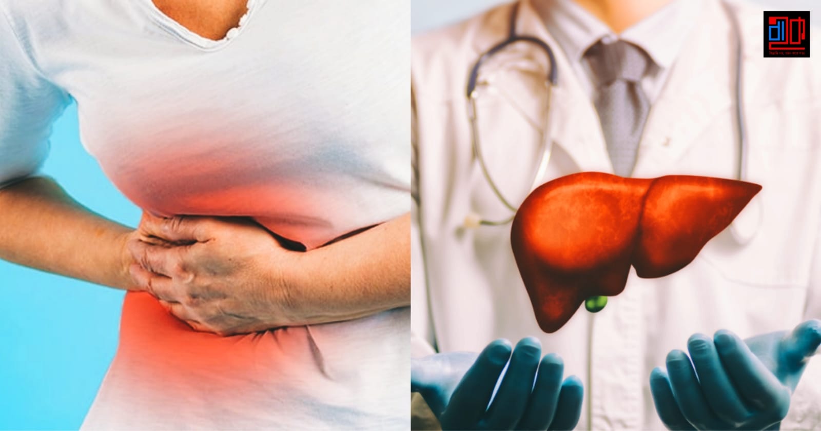 World Liver Day 2024: প্রতিবছর ১৯ এপ্রিল উদযাপন করা হয় ওয়ার্ল্ড লিভার ...