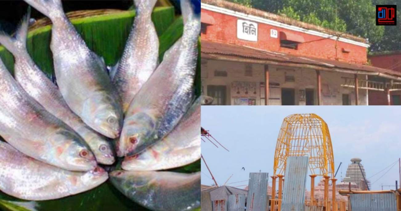 Hilsa-Hili Internatinal Border: সুখবর! এবার পদ্মার ইলিশ ঢুকবে উত্তরবঙ্গ ...